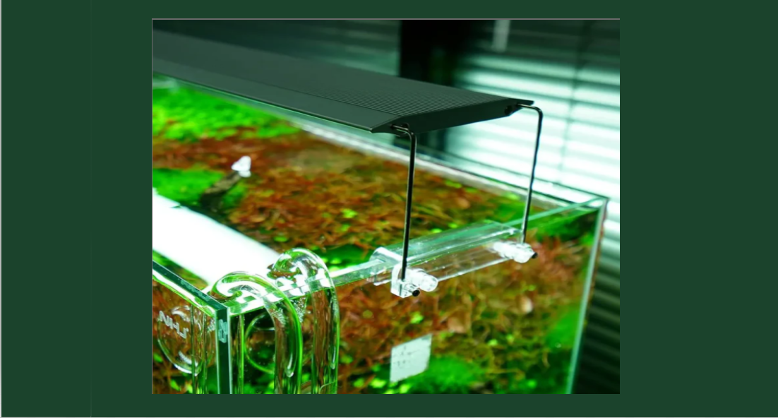 Luminária Led Chihiros Serie Aii Max 451 45w (45-60cm - Aquamazing Fish ...