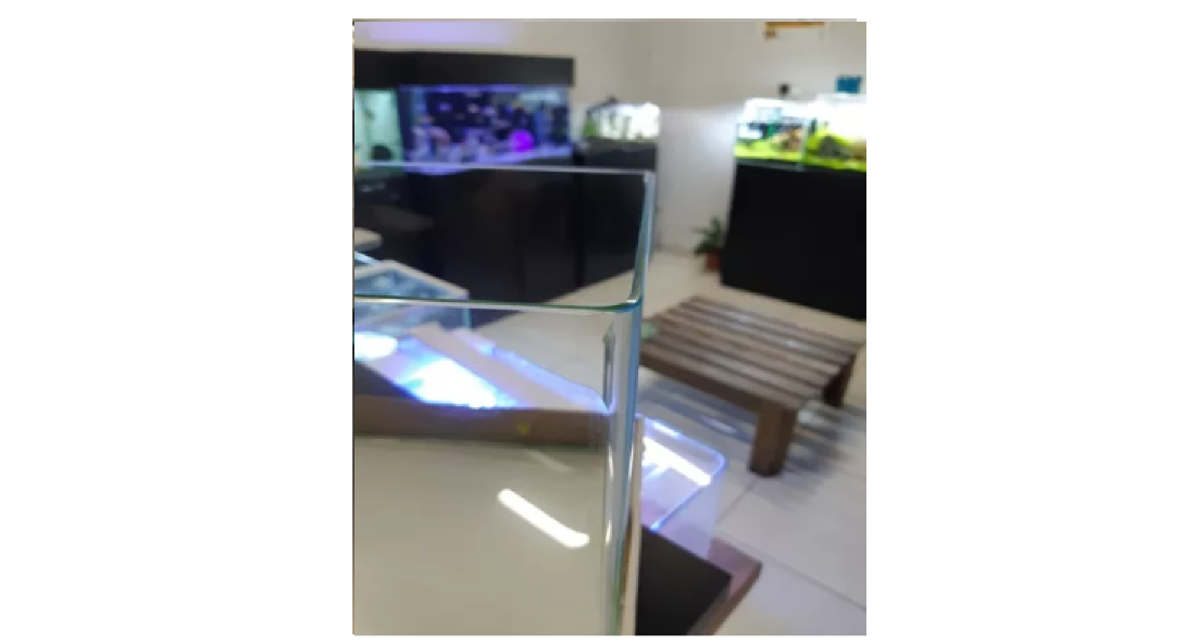 Aquário Hopar Vidro Frontal Curvo 23 Litros - Aquamazing Fish Store